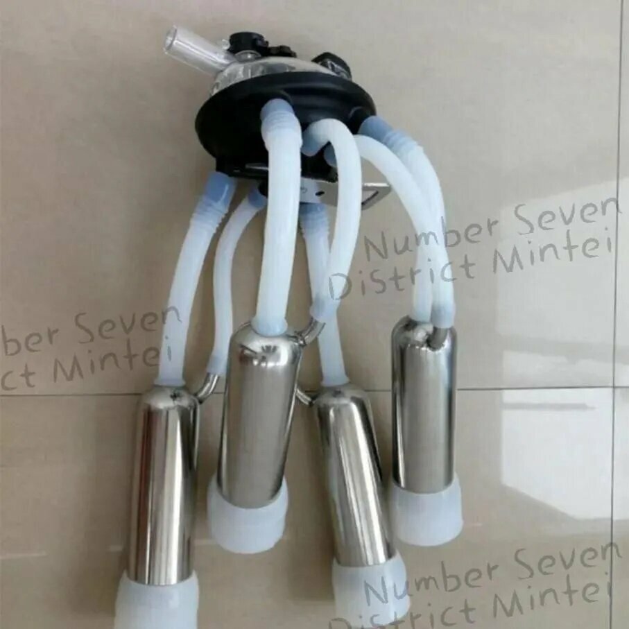 Подвесная доильная часть в сборе (для коров, попарное доение)Вакуумный поршневой доильный аппарат