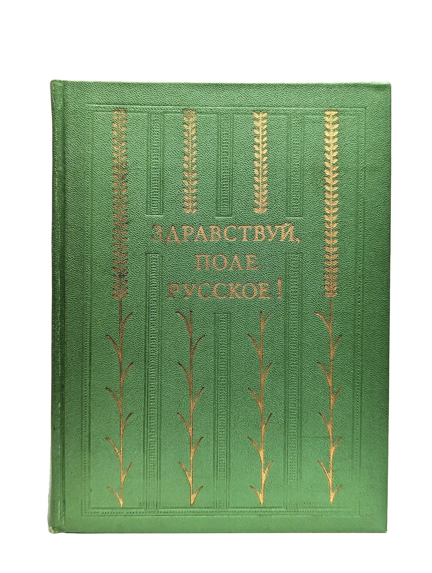 Здравствуй, поле русское! Савельев Иван Вячеславович 1978