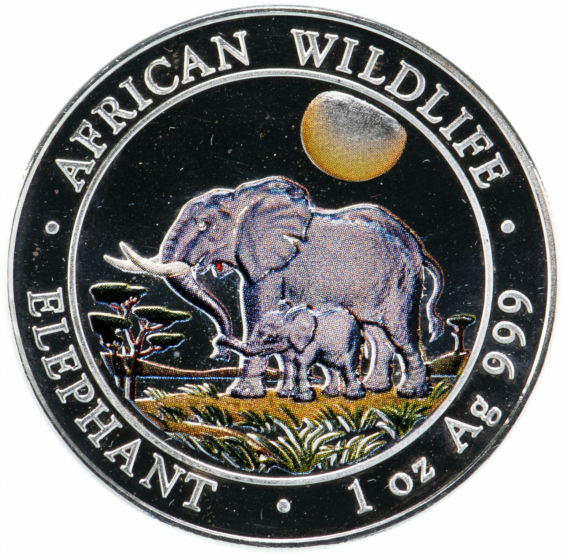 Сомали 100 шиллингов 2011 "Слоны цветная" частная модификация подлинной монеты