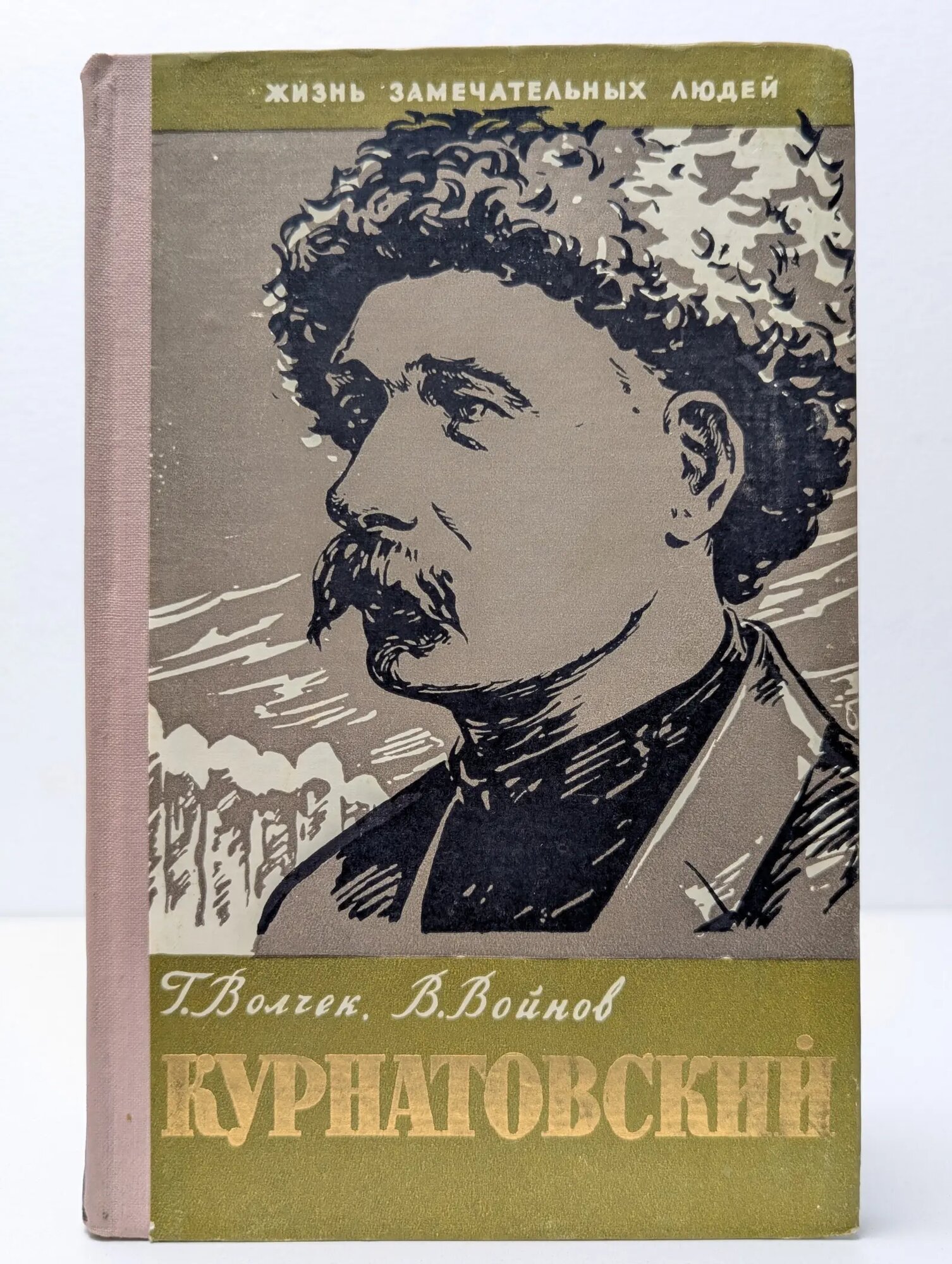 Виктор Курнатовский Волчек Григорий Федорович, Войнов Валентин Владимирович 1961