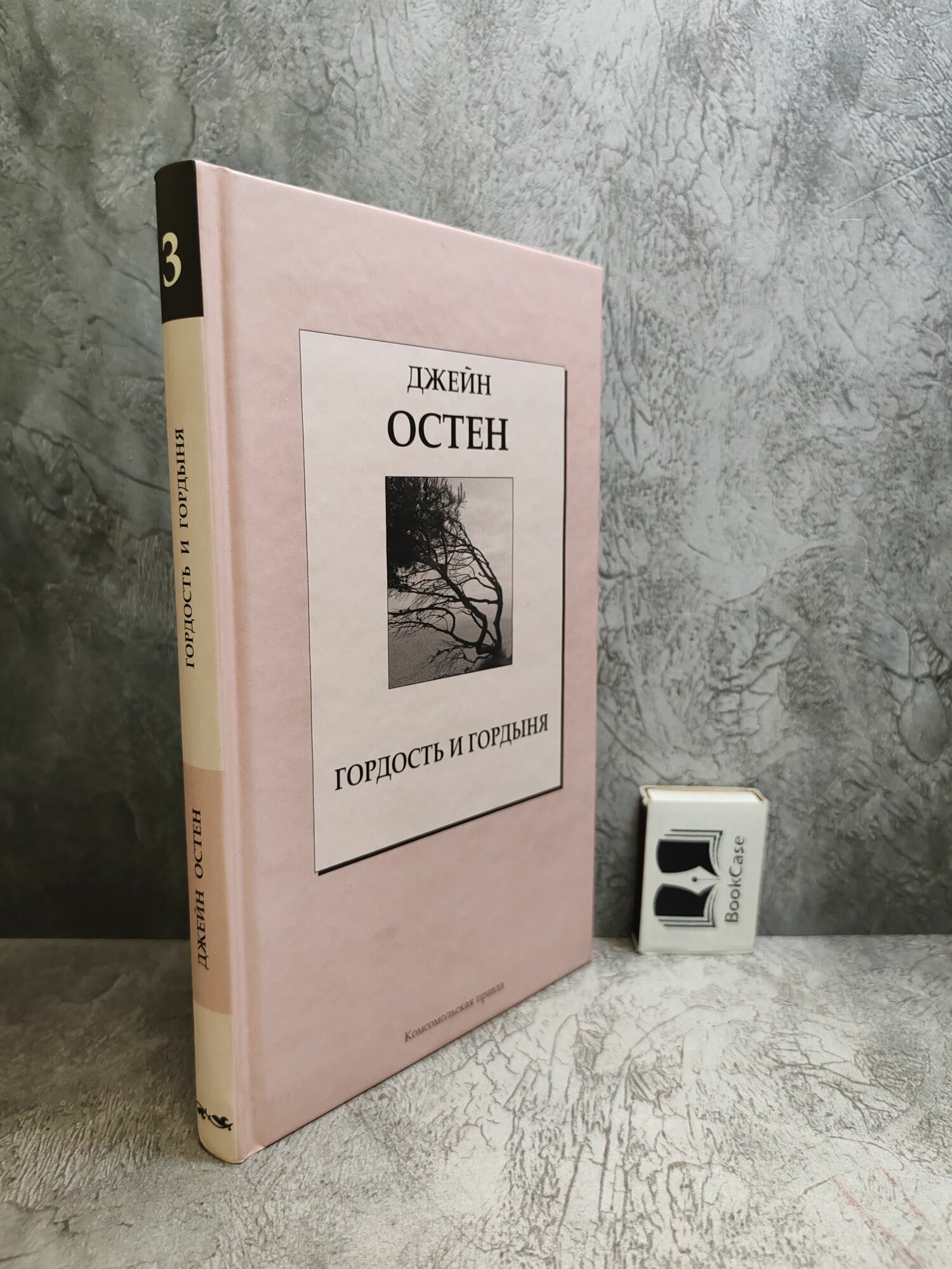 Гордость и гордыня. (2007 г.)