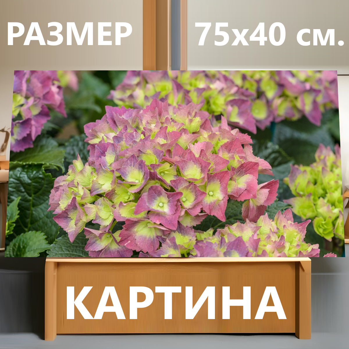 Картина на холсте "Гортензия, розовый, зеленый" на подрамнике 75х40 см. для интерьера