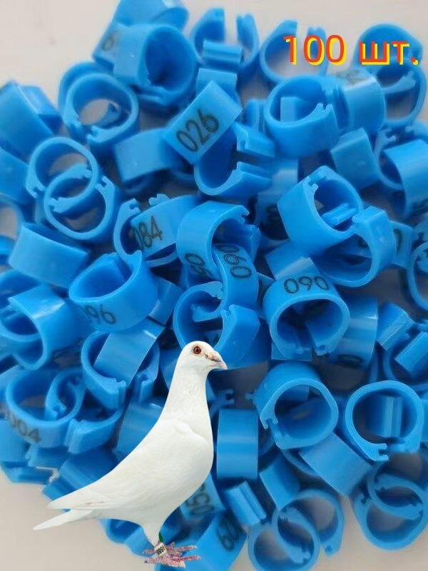 100 шт. Меточные кольца для птиц 8мм , маркировка для голубей, Меточные кольца