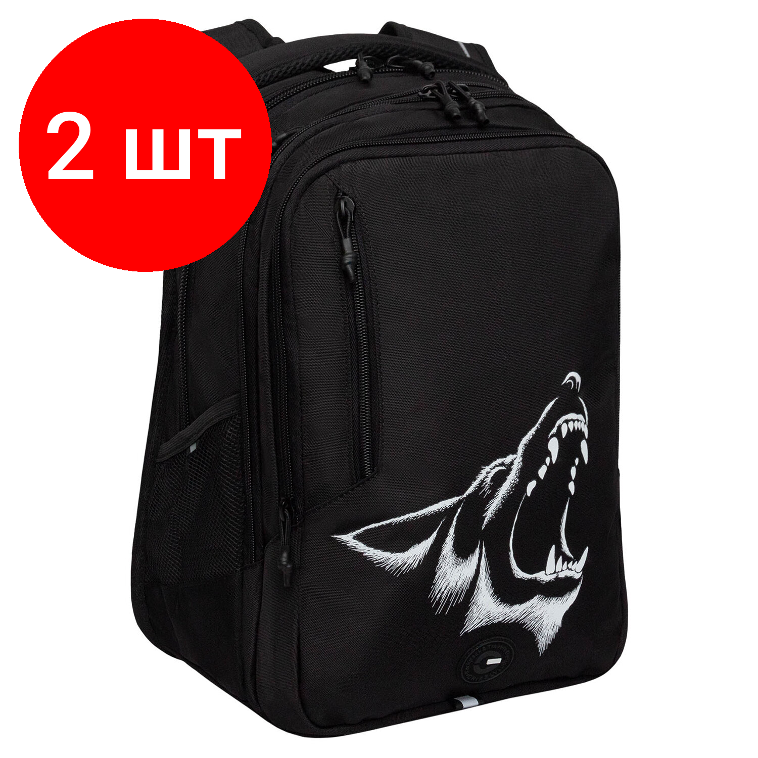 Комплект 2 шт, Рюкзак GRIZZLY школьный, анатом. спинка, 3 отделения, д/мальч, ANGER, 42х31х22 см, RU-538-4/1