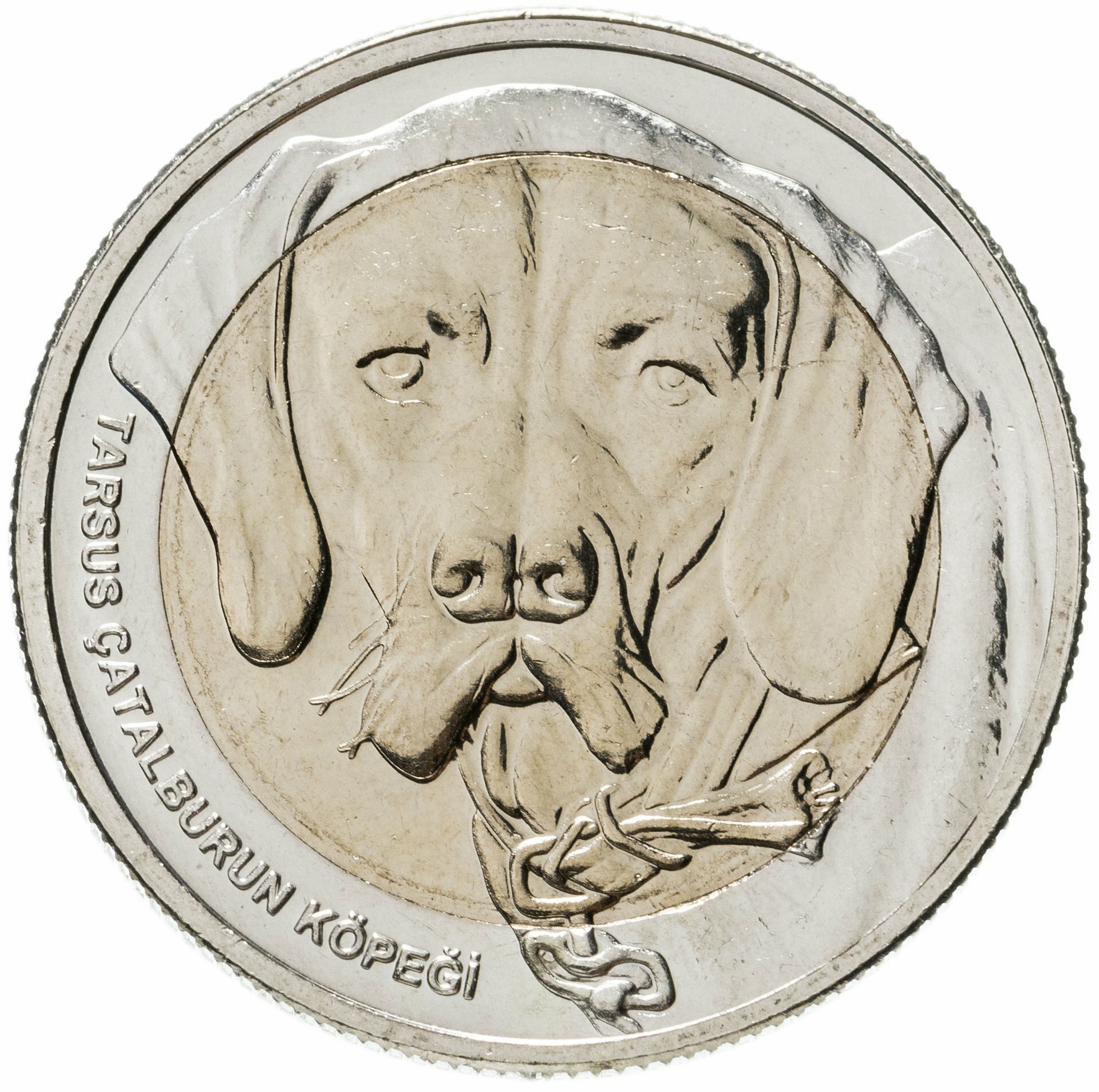 Турция 1 куруш 2021 "Каталбурун", Биметалл, в сохранности UNC