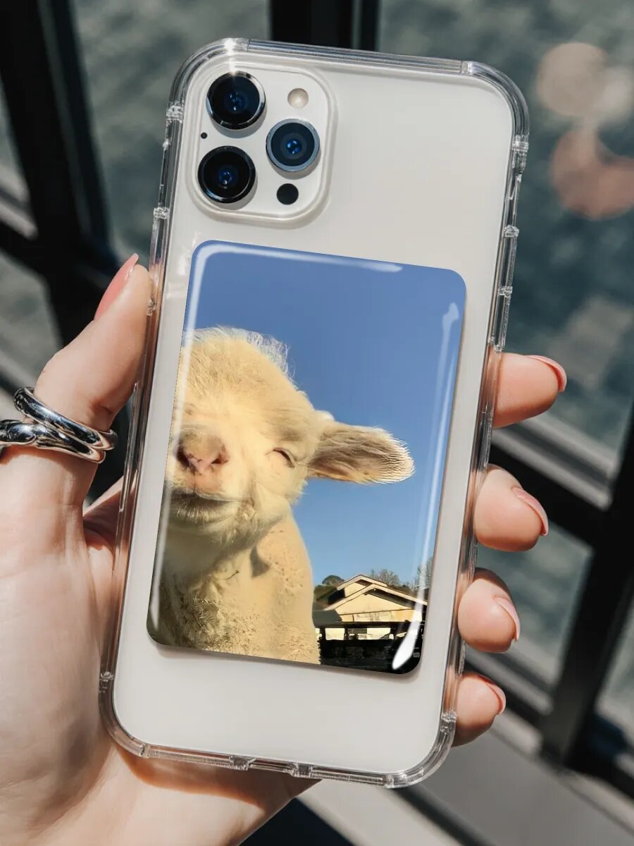 3D стикер на телефон большой Овечки