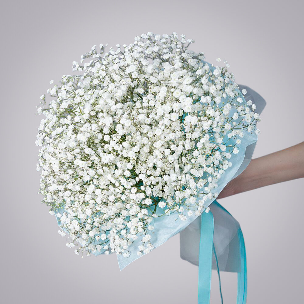 Монобукет из 9 белых Гипсофил