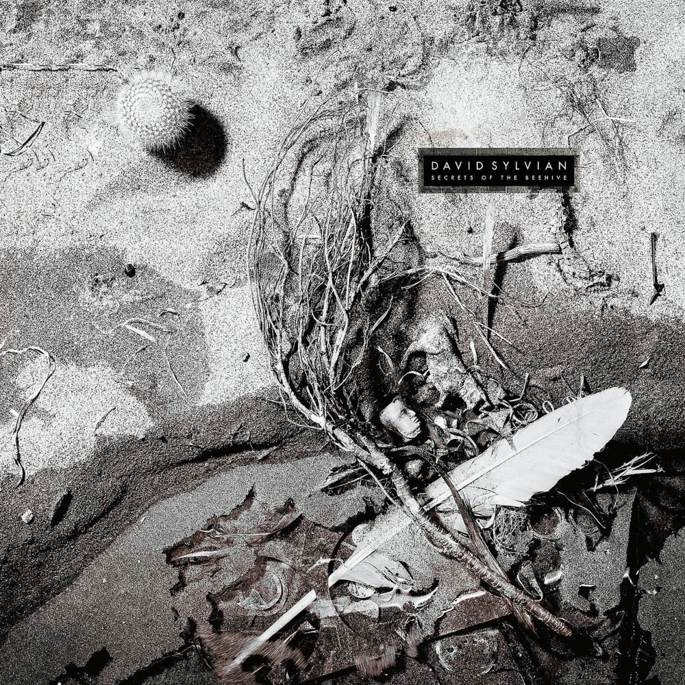 Sylvian David "Виниловая пластинка Sylvian David Secrets Of The Beeheive"