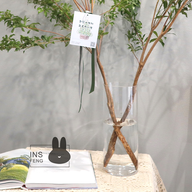 Сушеная ветка золотого дракона, ива в стиле Ins, сушеный цветок, напольное украшение в стиле ваби-саби, ретро, натуральный орнамент, красивая форма, настольный японский стиль