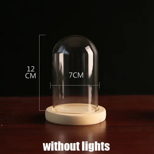 Стеклянный купол с деревянной подставкой, настольная витрина, стеклянная крышка, украшение из сухих цветов, изделие ручной работы, пылезащитный стеклянный колпак, стеклянный контейнер, ваза для ландшафтного дизайна.