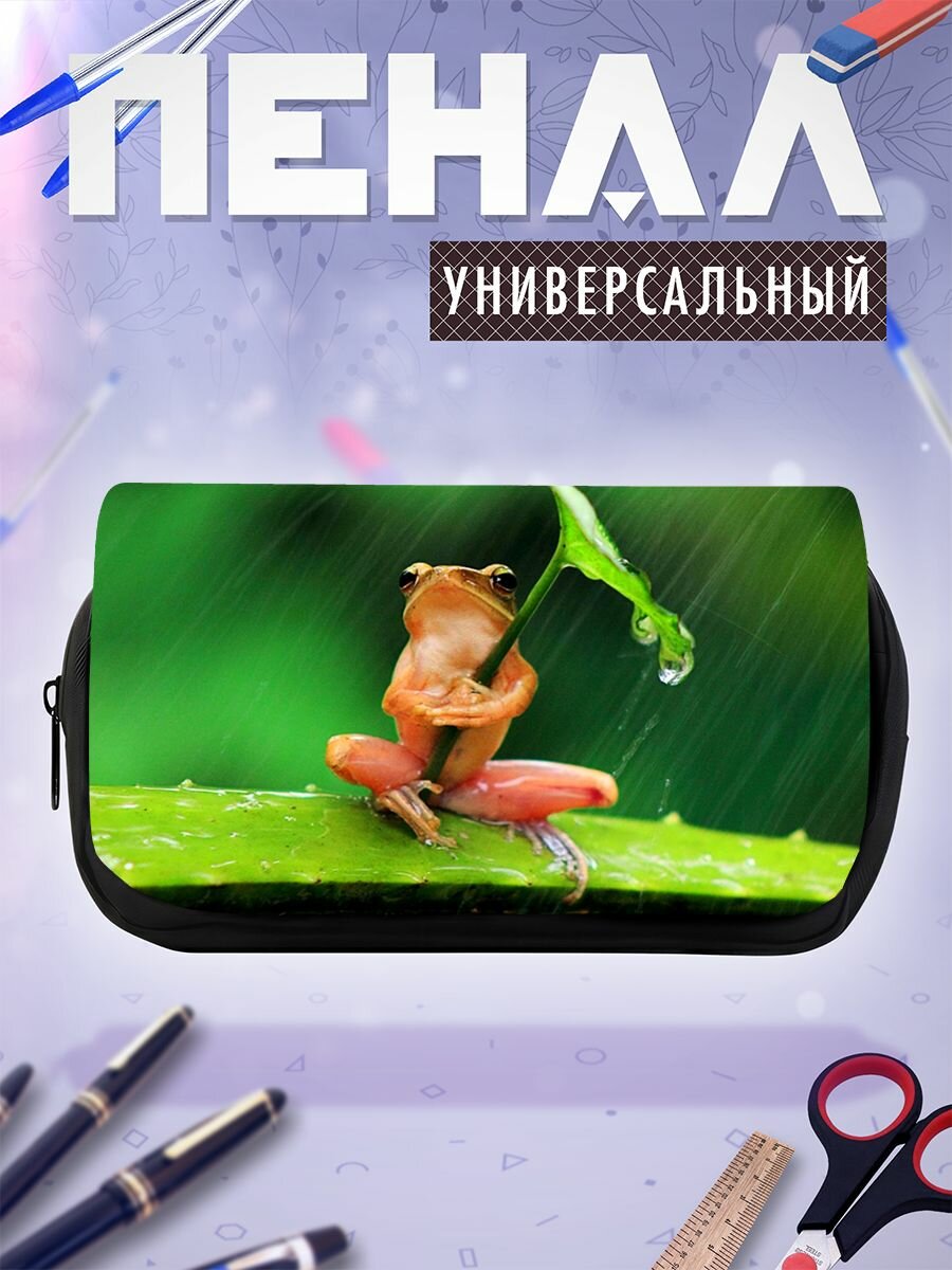 Пенал косметичка китайская лягушка земноводное