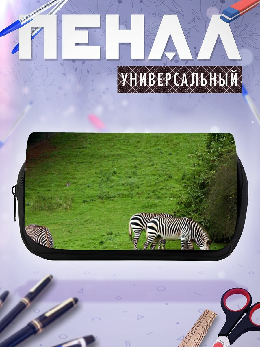 Школьный пенал кот зебра