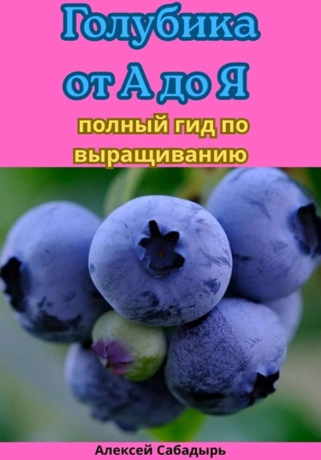 Голубика от А до Я полный гид по выращиванию [Цифровая книга]