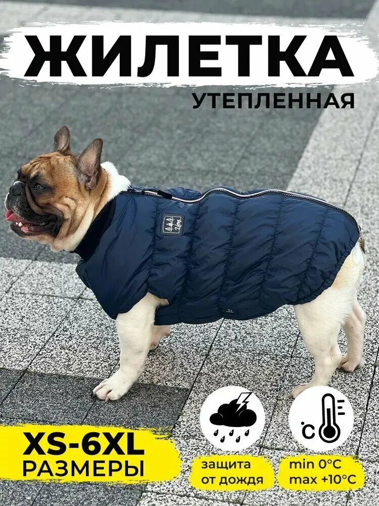 Жилетка для средних собак утепленная