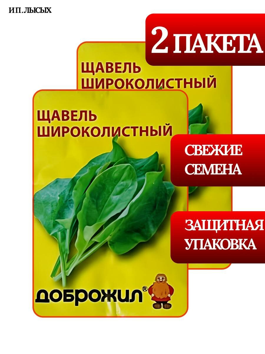 Семена Щавель "Широколистный"