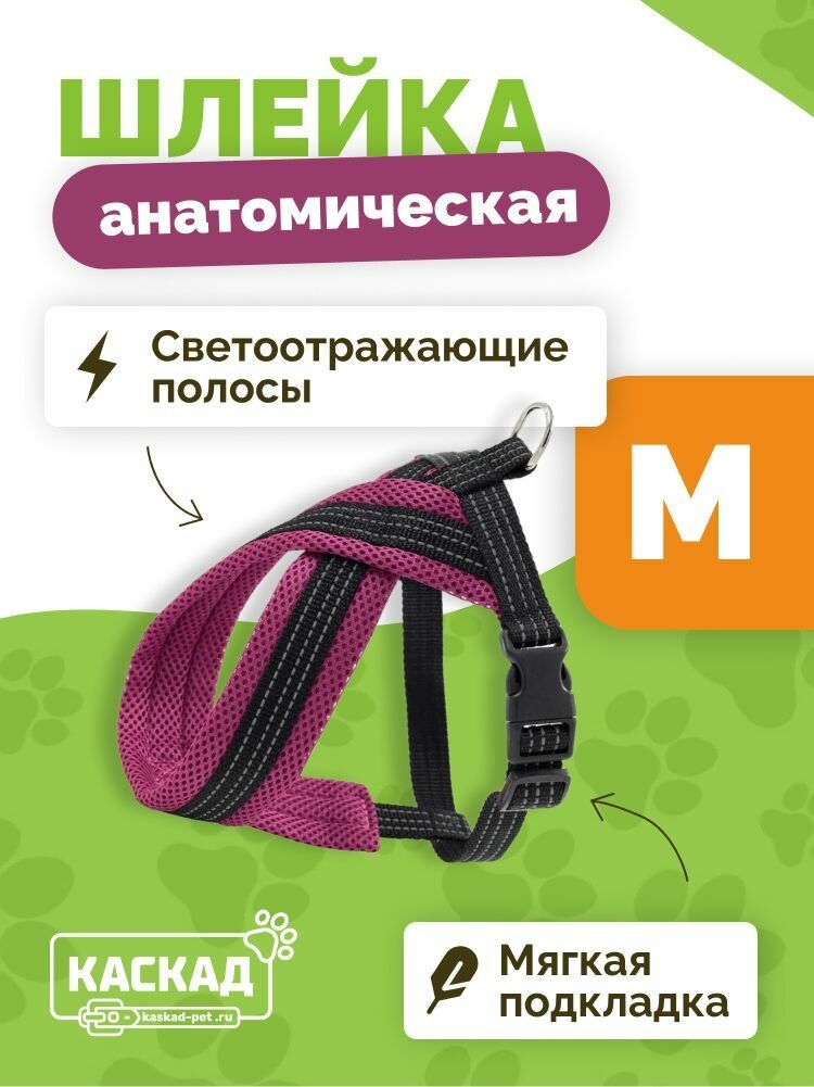 Шлейка для собак анатомическая Каскад, с мягкой подкладкой, фиолетовая, 2 х 40 х 44-55 см