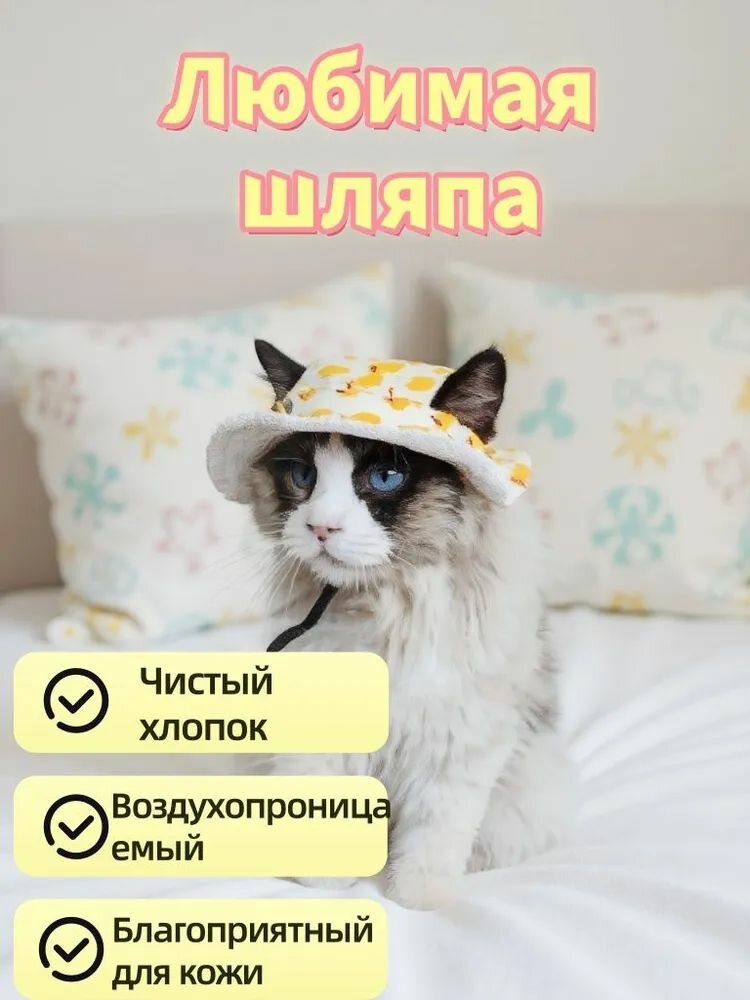 Шапочка для домашних животных 14г