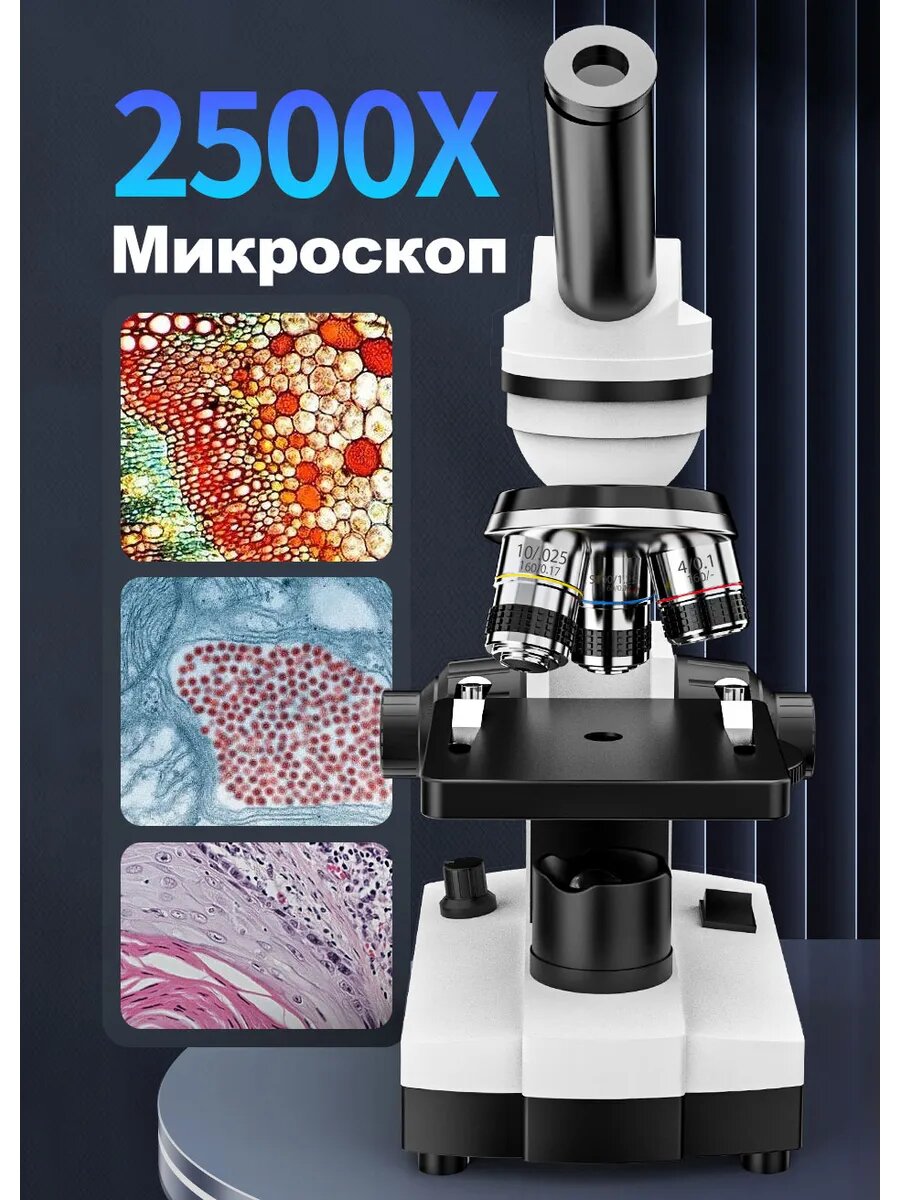 Микроскоп школьный, биологический, портативная подсветка, 40-2500х