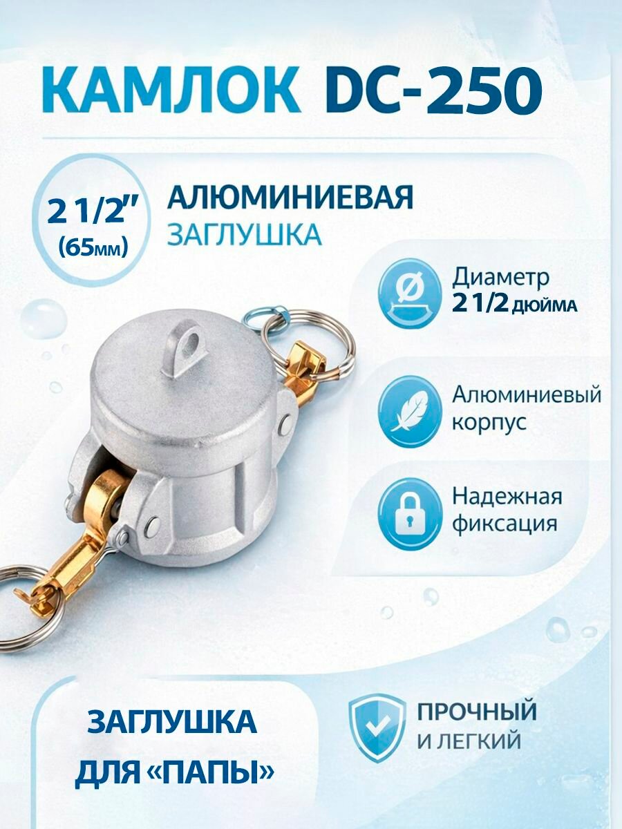 Камлок DC-250 2-1/2" (65 мм) крышка Camlock алюминиевая, заглушка быстроразъёмного соединения для шланга