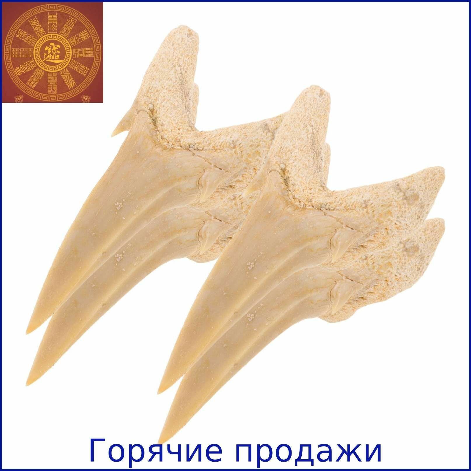 Научные Модели Предисторических Зубов Акулы для Учебного Процесса, Набор из 4pcs 3.00X2.00X1.00Cm