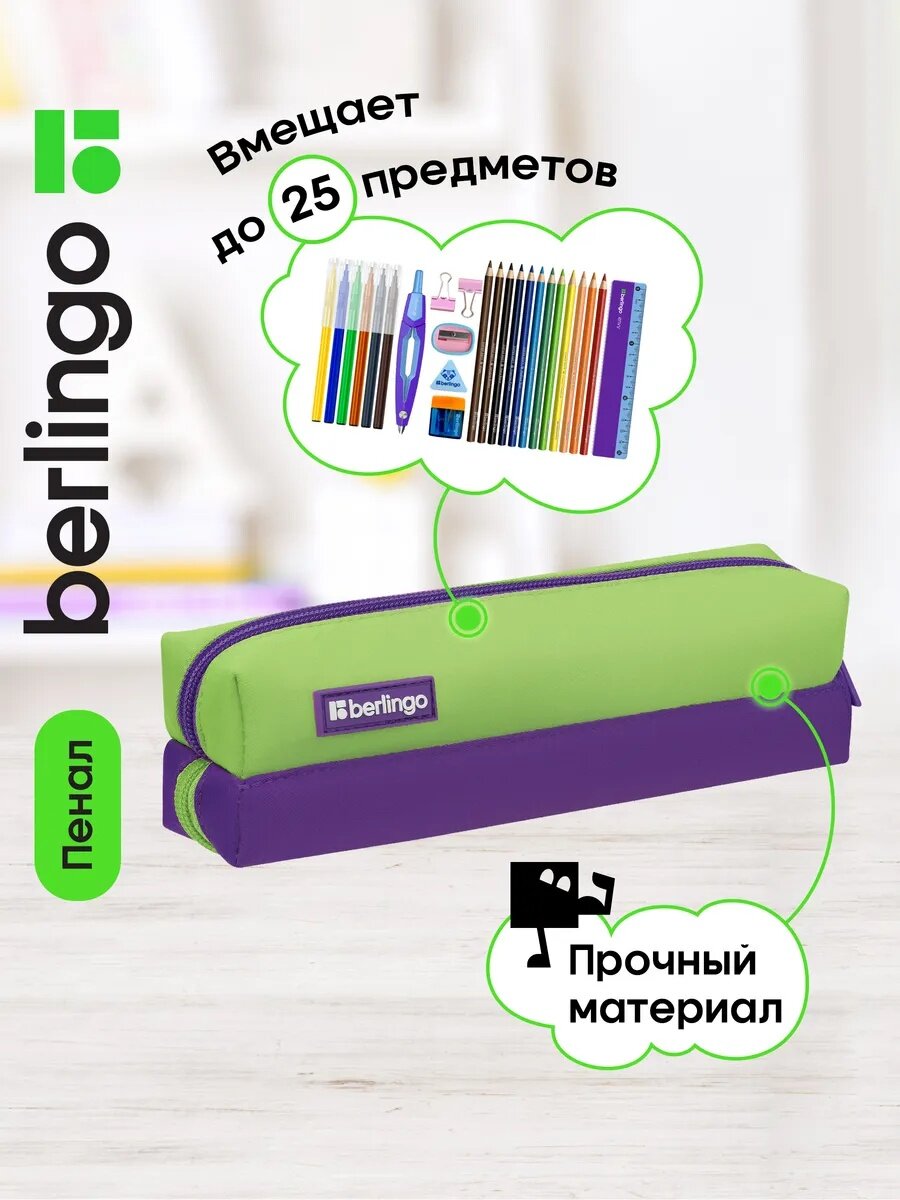 Пенал школьный Berlingo подростковый, 2 отделения, на молнии