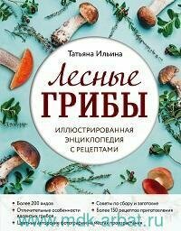 Книга "Лесные грибы. Иллюстрированная энциклопедия с рецептами"