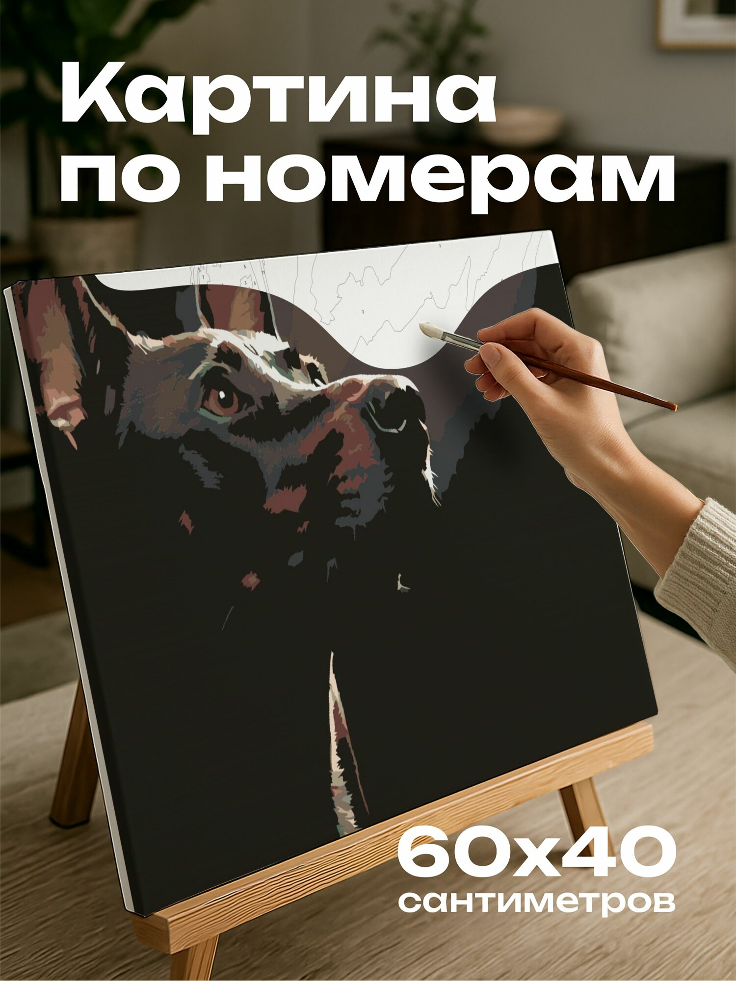 Картина по номерам 60x40 см, доберман, фотография, драматическая поза, освещение, луч света, шерсть, глаза, ум, мощь