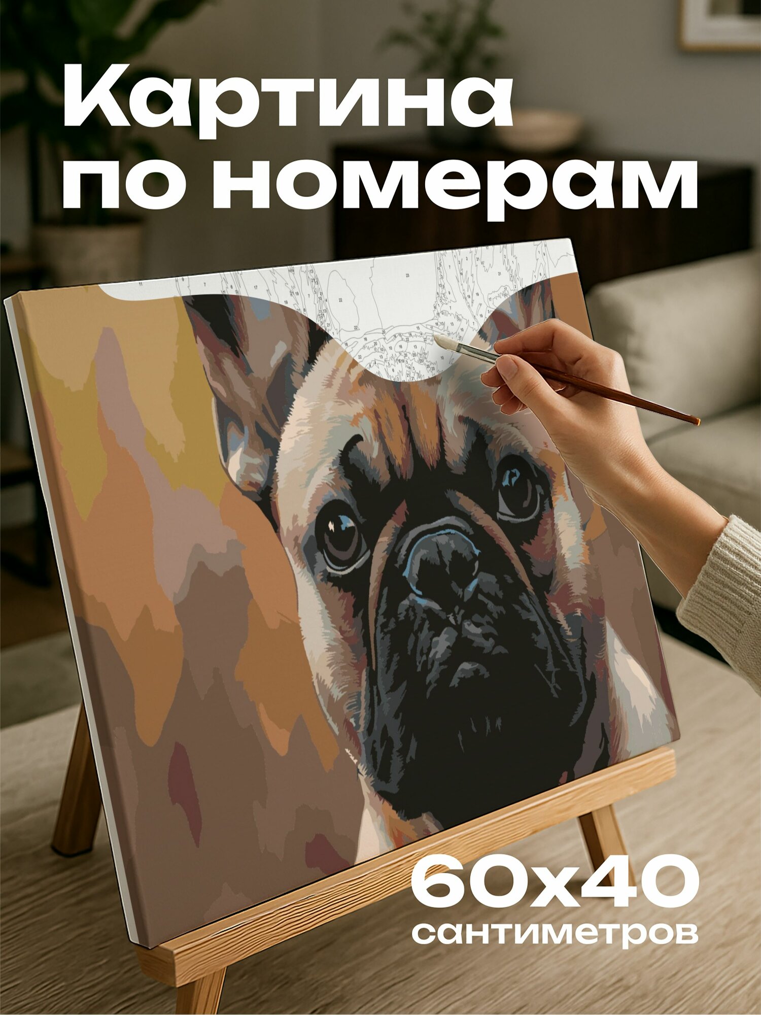 Картина по номерам 60x40 см, французский бульдог, портрет, фотография, уникальная индивидуальнос, характер