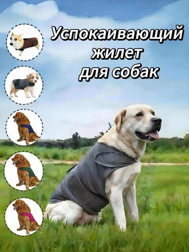 Успокаивающий жилет для собак и кошек, Успокаивание сепарационной тревоги