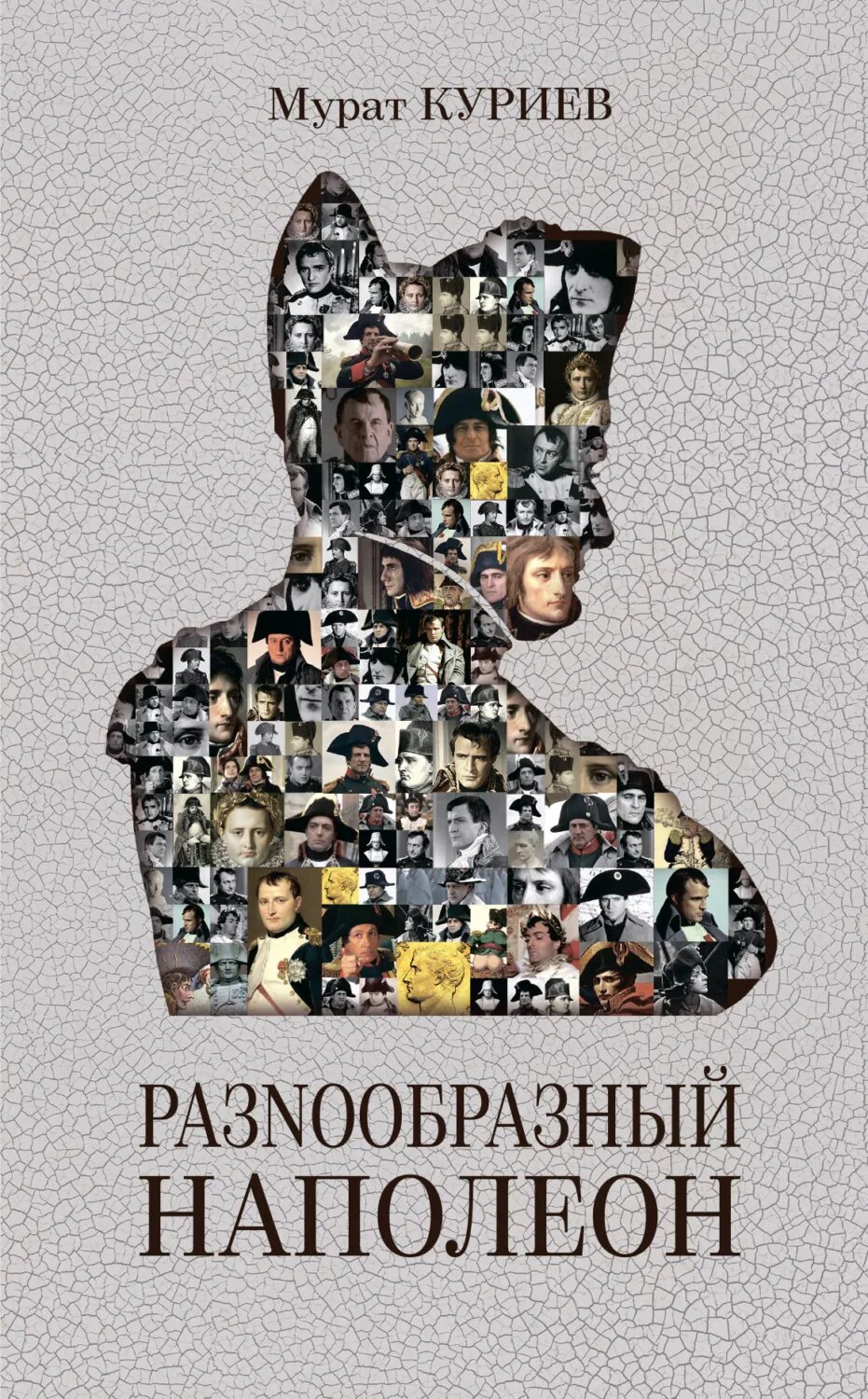 РазNообразный Наполеон [Цифровая книга]
