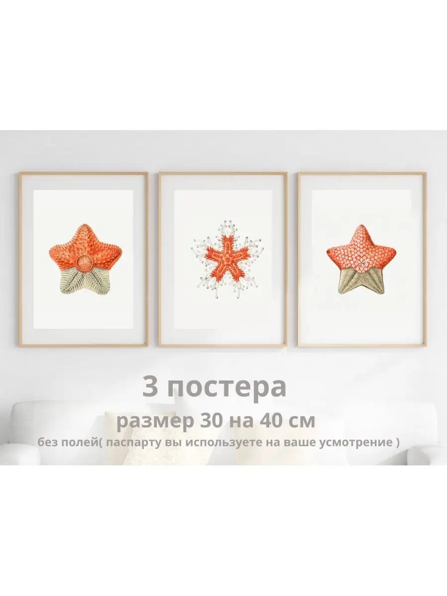 Постеры в морском стиле, 30 x 40 см, материал бумага, без рамы
