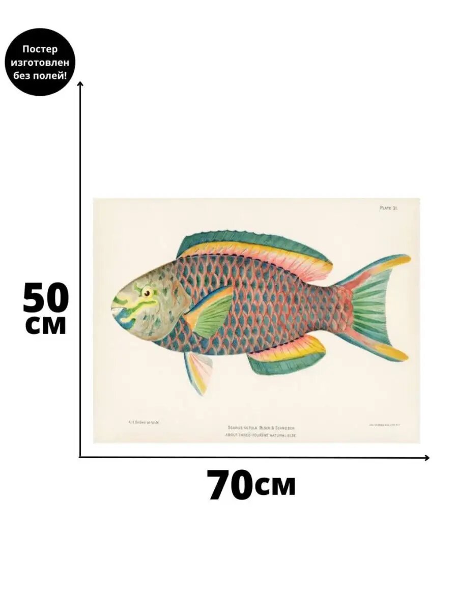 Постер в морском стиле Рыба в ретро стиле