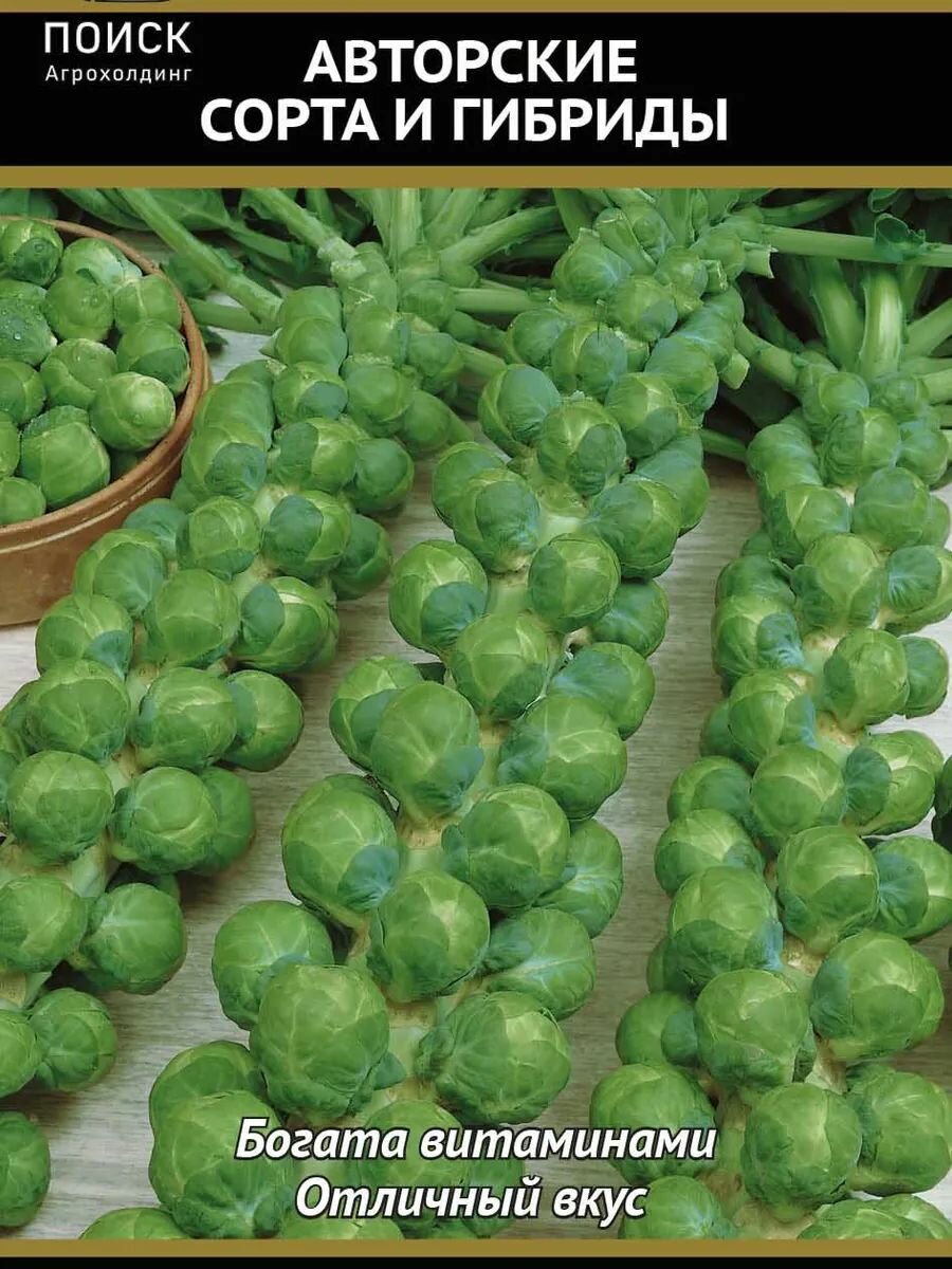 Брюссельская капуста Сапфир 0,5 г, Семена Поиск