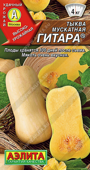 Семена аэлита "Тыква Мускатная Гитара", лежкая, однолетняя, 1 кг