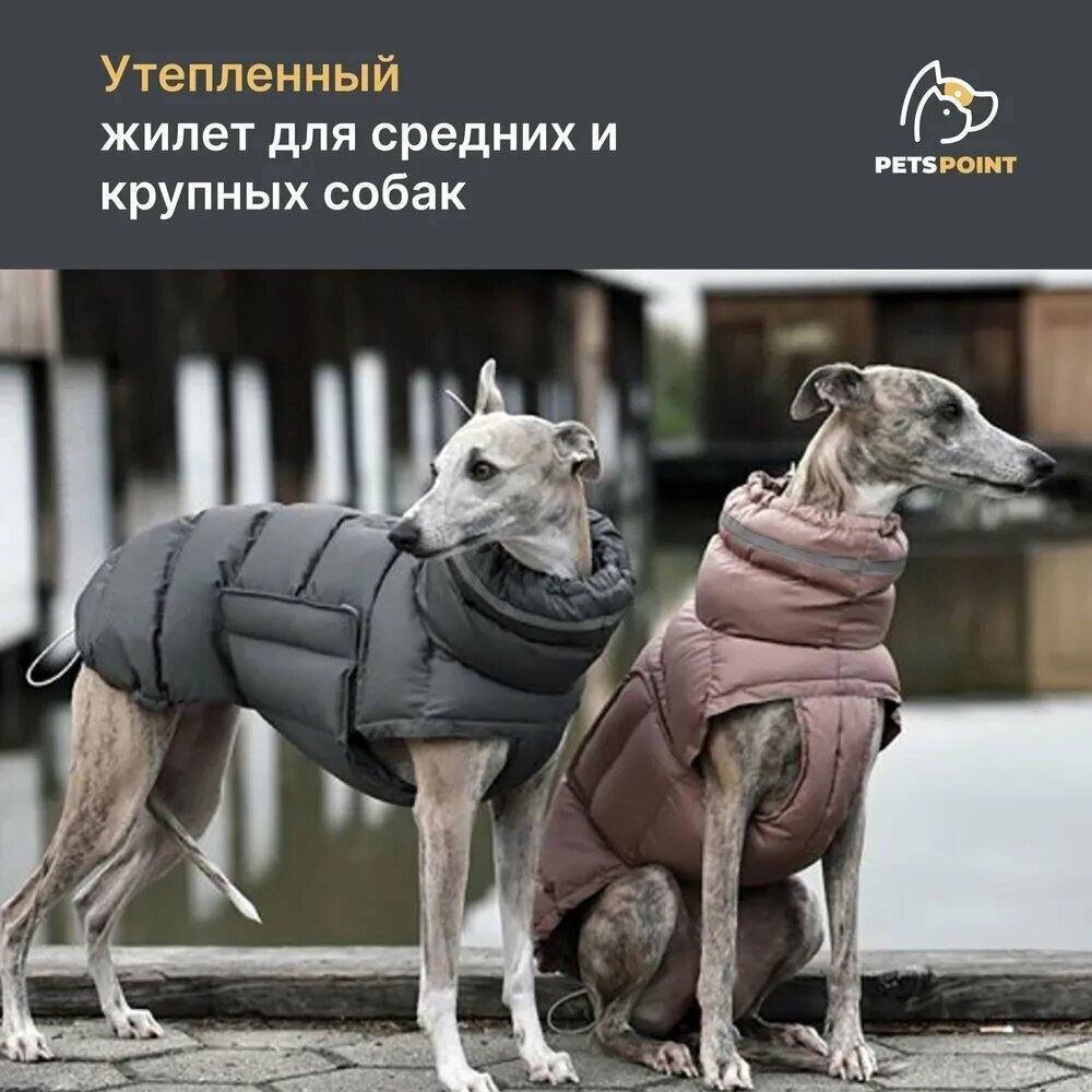 Одежда для животных Одежда для выгула собак на улице