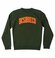 Худи DC Shoes, размер 12/M, зеленый