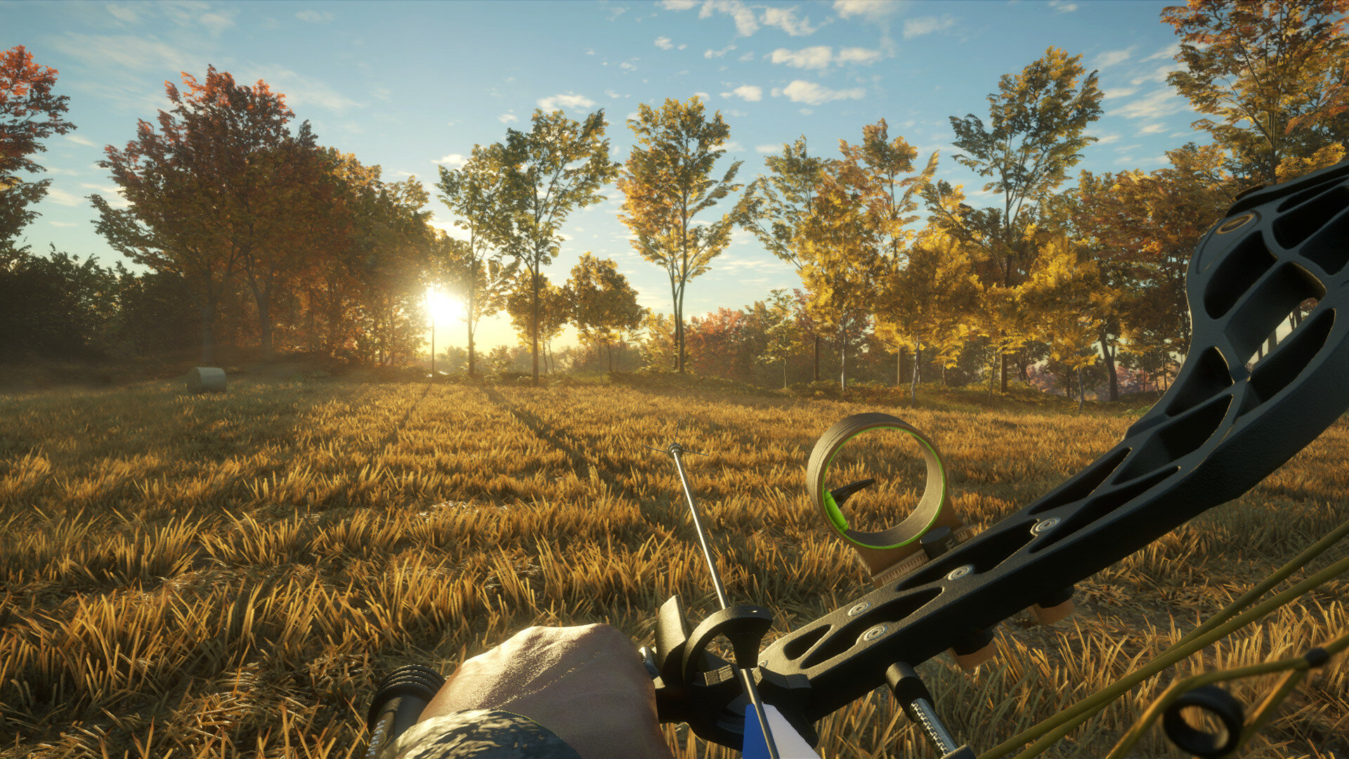 TheHunter: Call of the Wild - High-Tech Hunting Pack DLC PC Steam Ключ