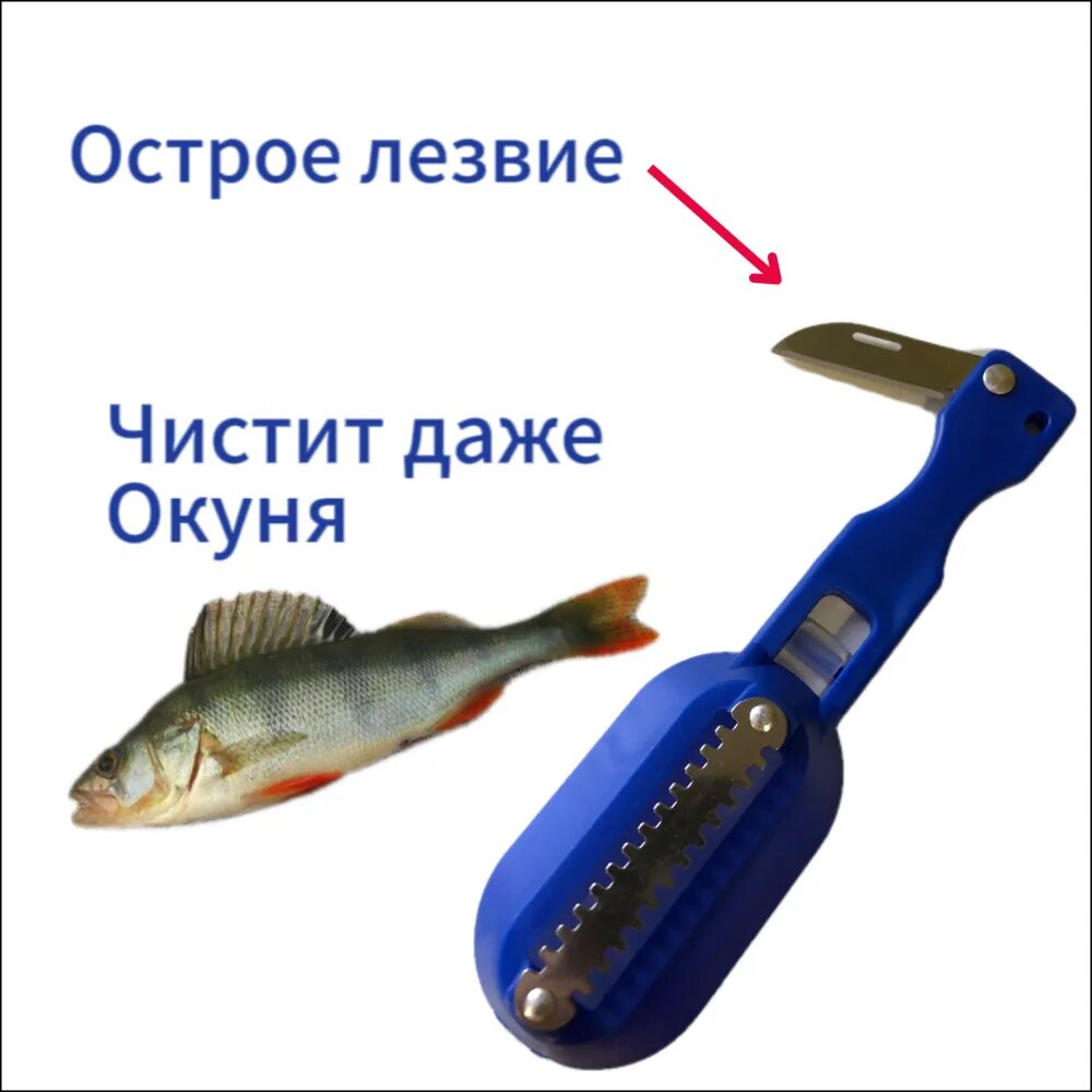 Рыбочистка — фото 1