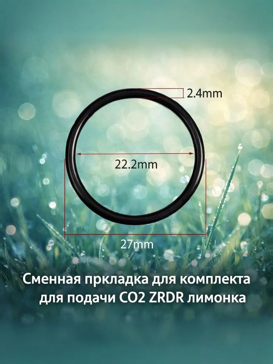Сменная прокладка для комплекта для подачи CO2 ZRDR лимонка