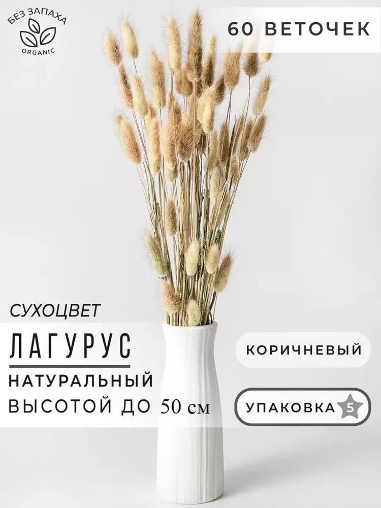 Сухоцвет Лагурус, 60 веточек, высота до 50 см, коричневый