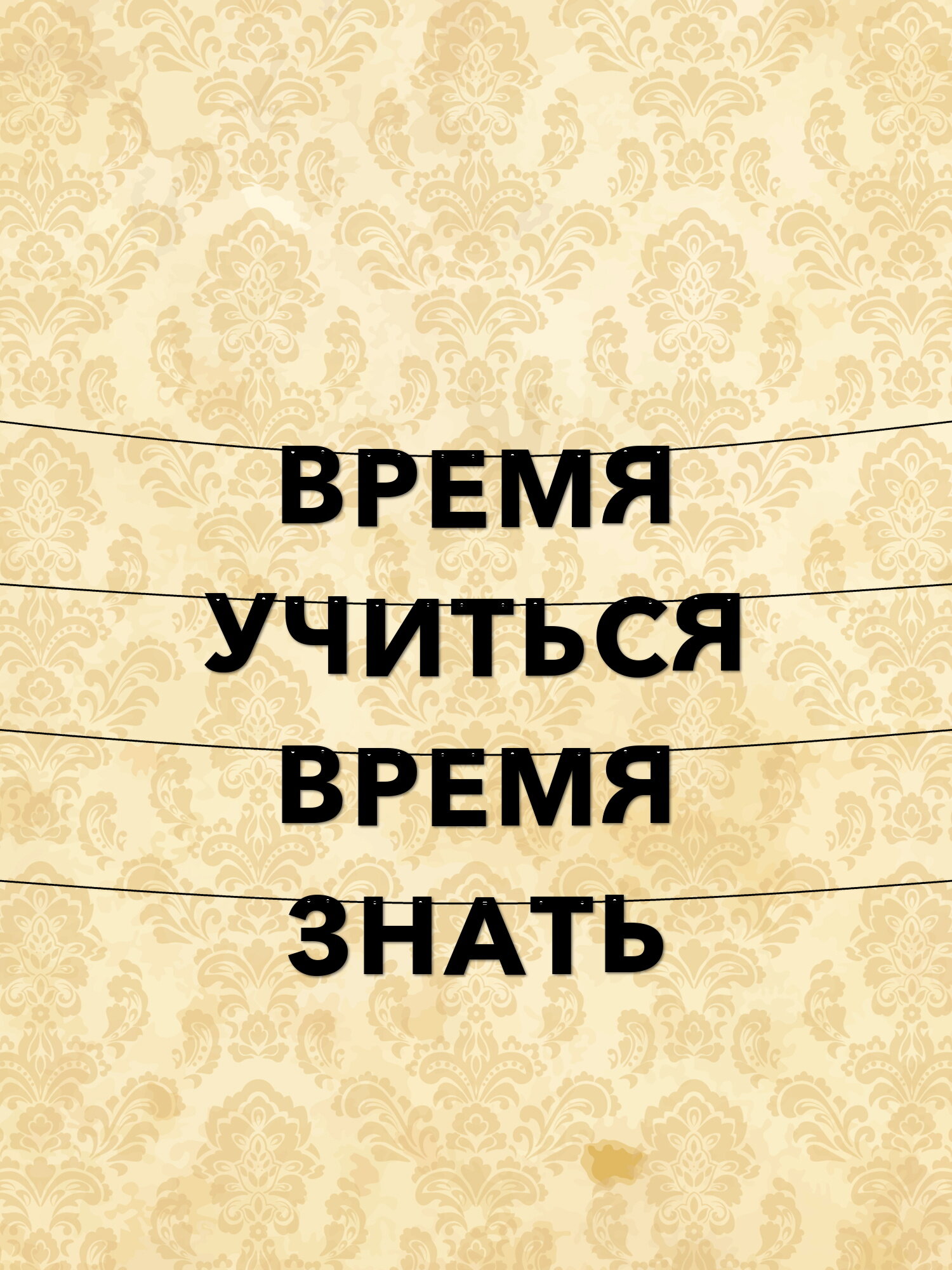 Гирлянда из букв "Время учиться, время знать" для декора колледжа - уютное украшение интерьера и праздников