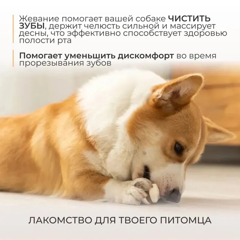 Игрушка для животных — фото 1