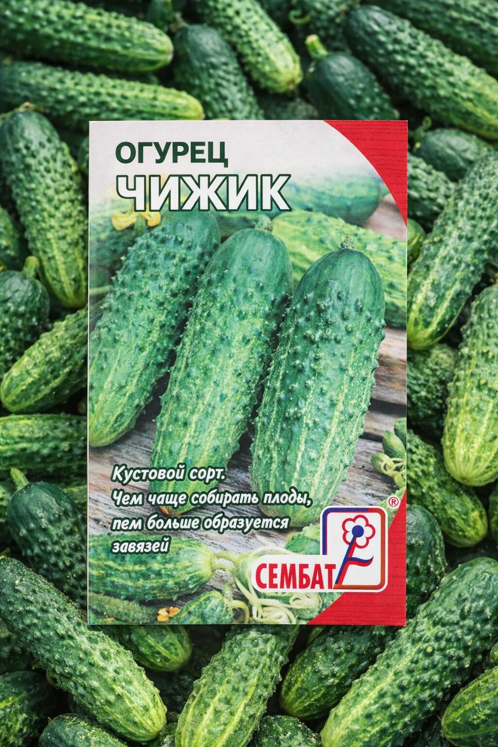 Огурец Чижик семена, хрустящие плоды 10-11 см, идеальны для засолки и консервирования