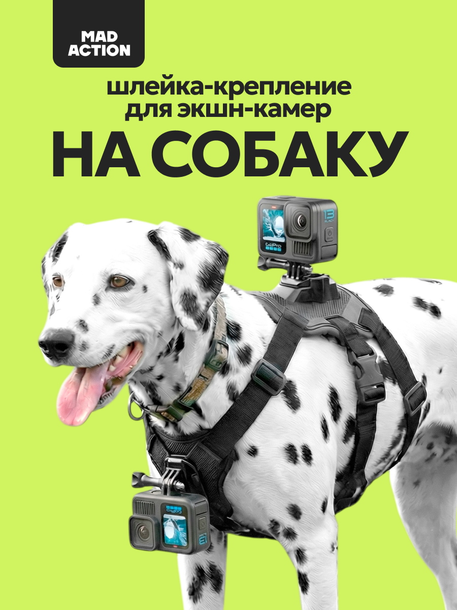 Крепление на собаку для экшн камер GoPro, DJI Osmo Action