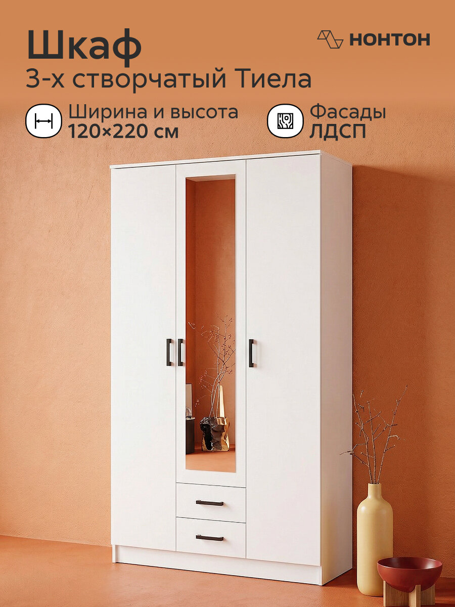 Шкаф распашной с зеркалом Тиела, Ш:120 * Г:48.7 * В:220 (белый гладкий)
