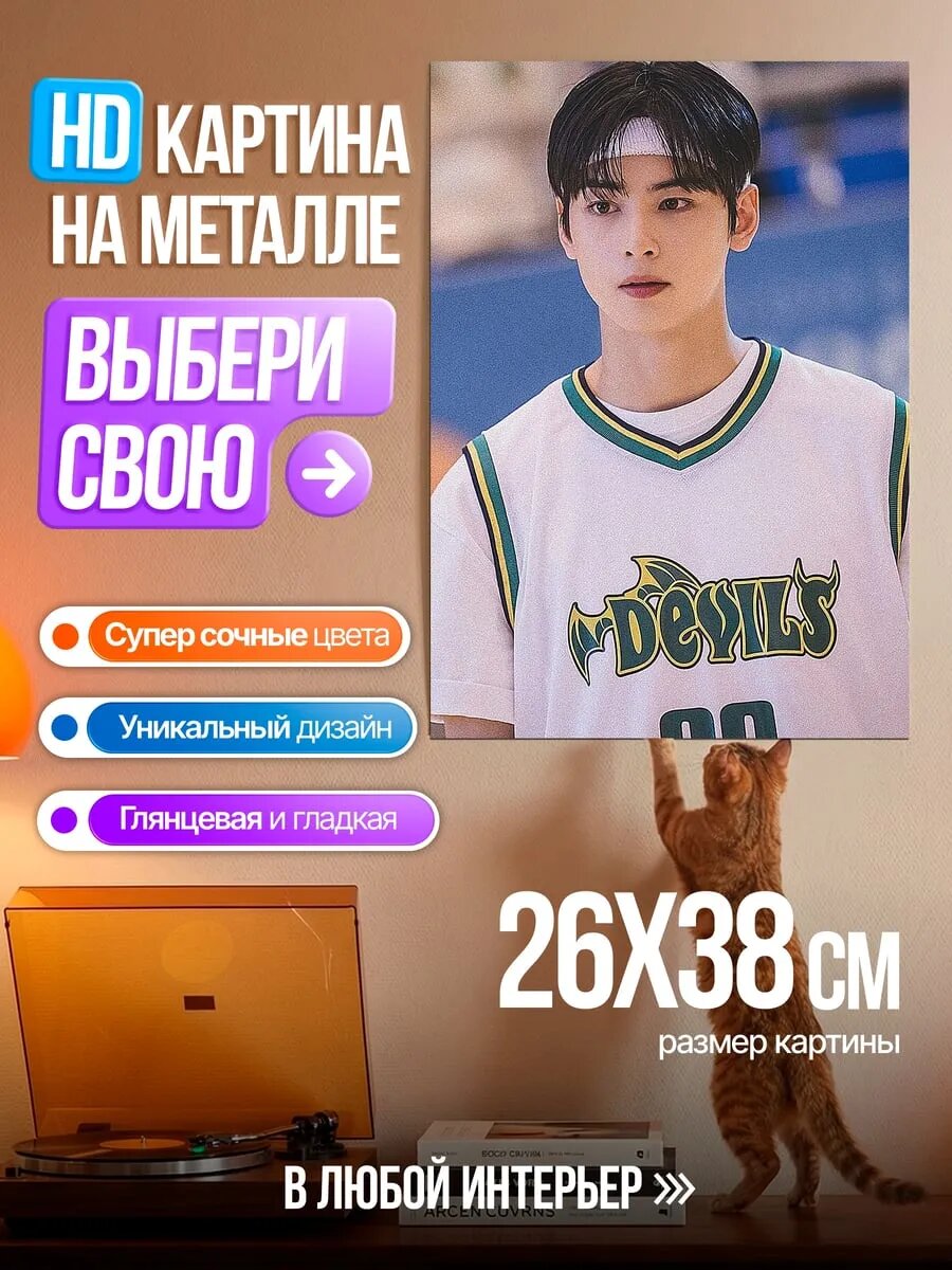 Картина на HD металле Ча Ын У