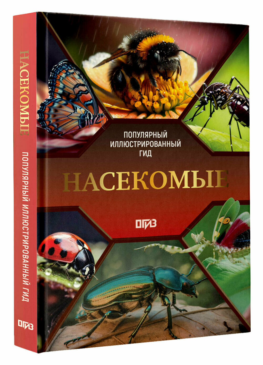 Насекомые. Иллюстрированный гид Анна Спектор книга от издательства АСТ