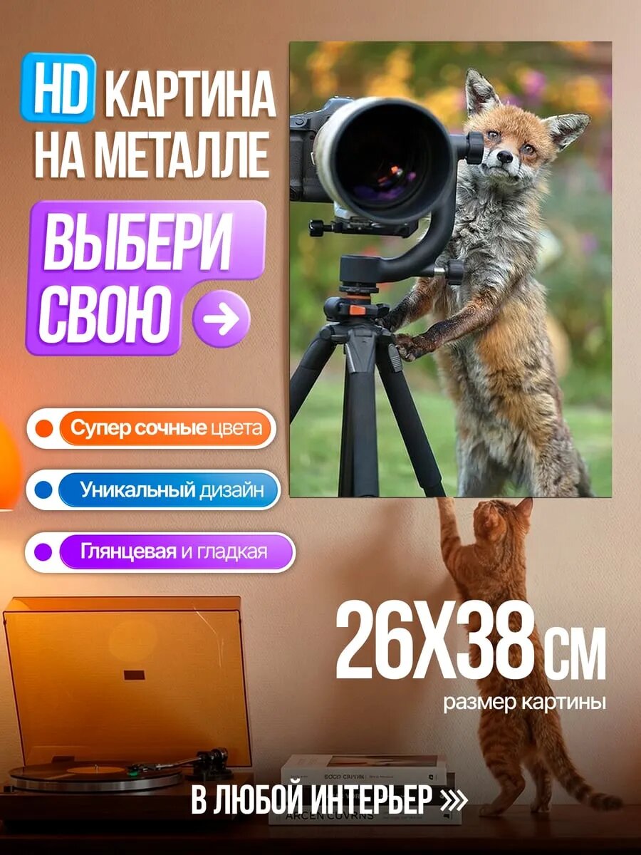 Картина на HD металле Лис фотограф