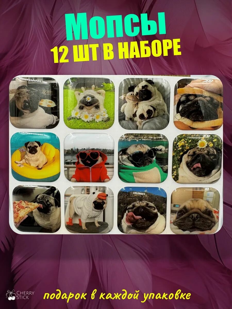 3d стикеры на телефон Мопсы