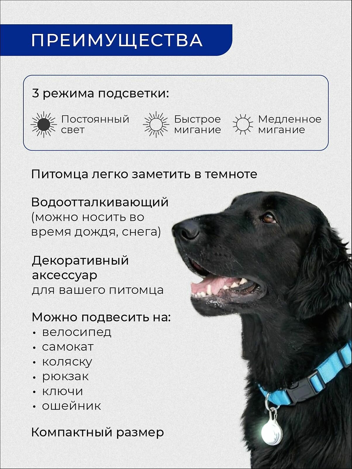 Маячок для собак, Светящаяся подвеска на ошейник, кулон на ошейник, брелок на ключи